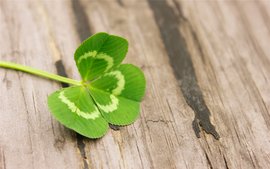 lightgallery集成到WordPress网站快速实现图片灯箱效果| 百秀